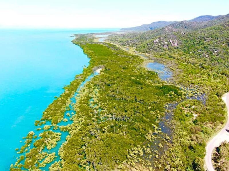 Magnetic Island: West Coast Eco Adventure Bus Tour - Key Points