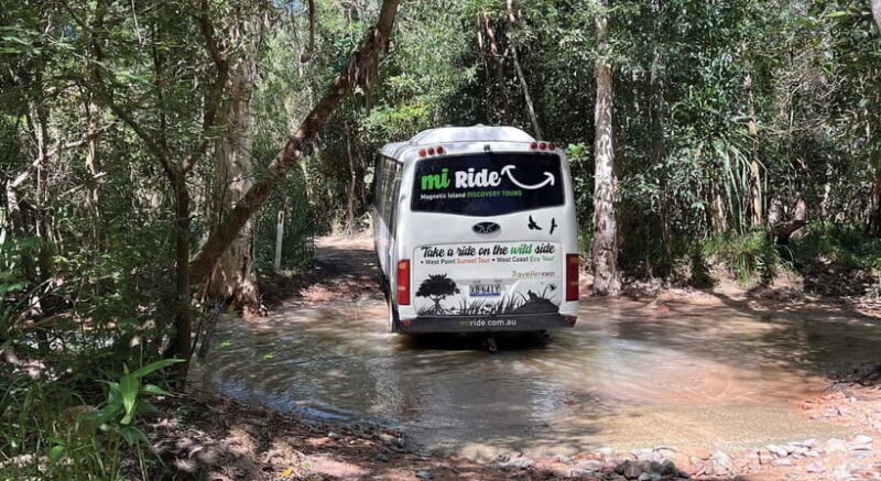 Magnetic Island: West Coast Eco Adventure Bus Tour - What Is the Magnetic Island West Coast Eco Adventure?