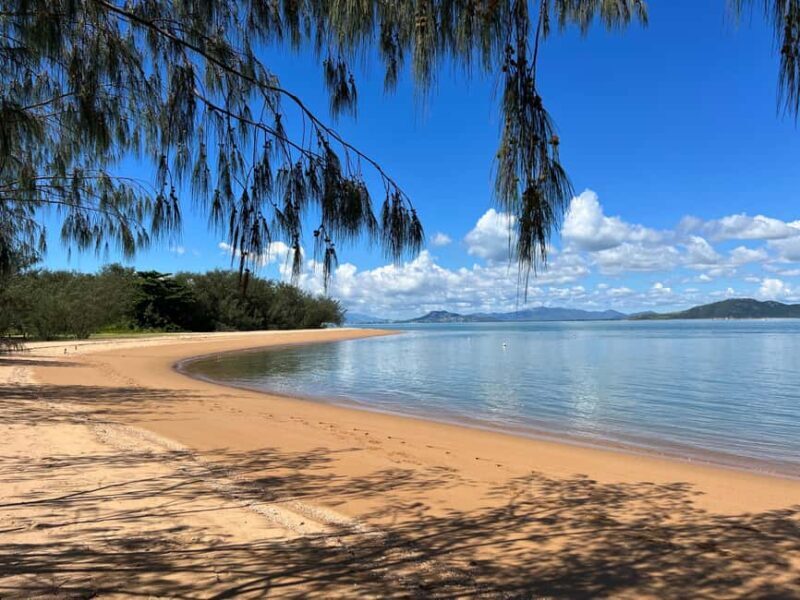 Magnetic Island: West Coast Eco Adventure Bus Tour - The Experience in Real Life: Authenticity and Value