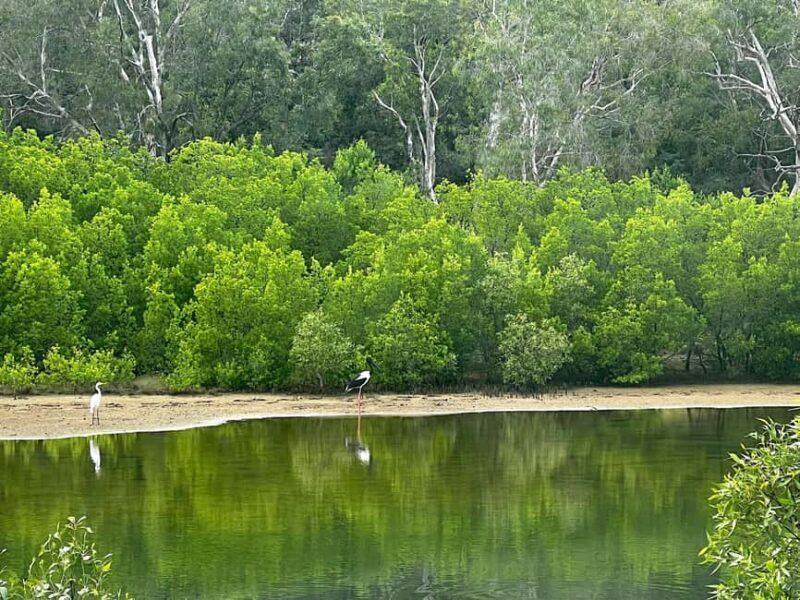Magnetic Island: West Coast Eco Adventure Bus Tour - Who Is This Tour Best For?