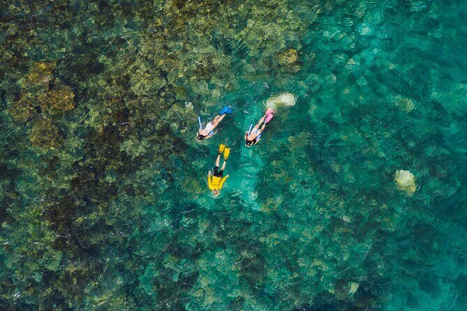 Magnetic Islands Three Bays in Three Ways (Private Tour) - The Experience of Snorkelling, Relaxing, and Wildlife Watching