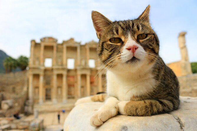 Magnificent Ephesus Tour From Kusadasi Hotels / Selçuk Hotels - Final Thoughts: Is It Worth It?