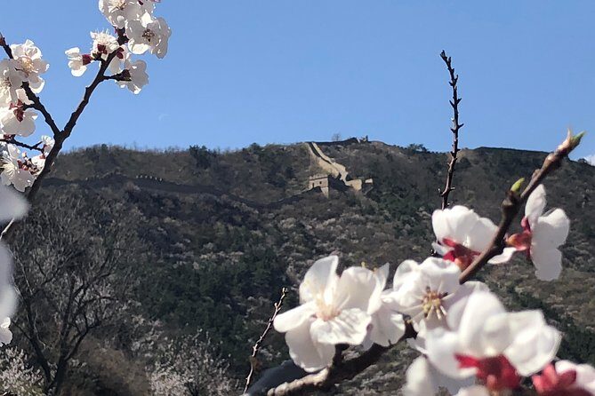 Magnificent Private Full Day Tour to Mutianyu Great Wall - An In-Depth Look at the Tour Experience
