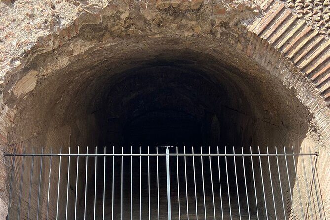 Magnificent tour of Gladiator Arena, Colosseum and Imperial Forum - Practical Tips for Your Visit