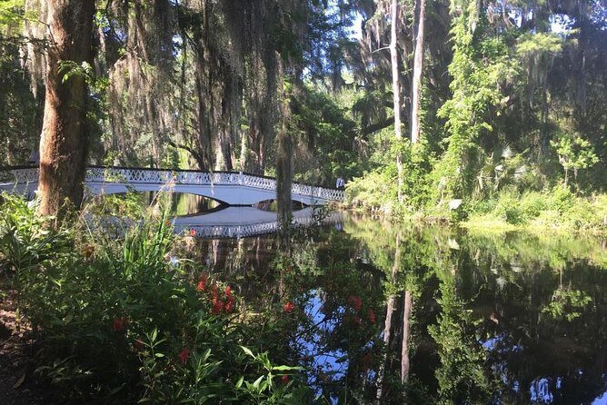 Magnolia Plantation Admission & Tour with Transportation from Charleston - Authentic Insights from Traveler Reviews