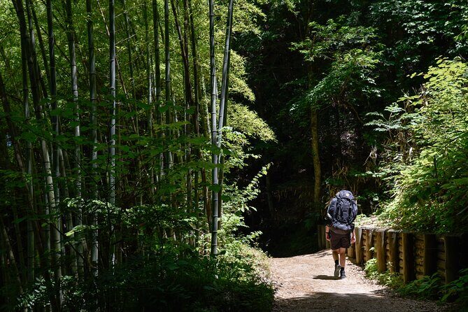 Magome & Tsumago Nakasendo Trail Day Hike with Government-Licensed Guide - An In-Depth Look at the Tour: What You Can Expect