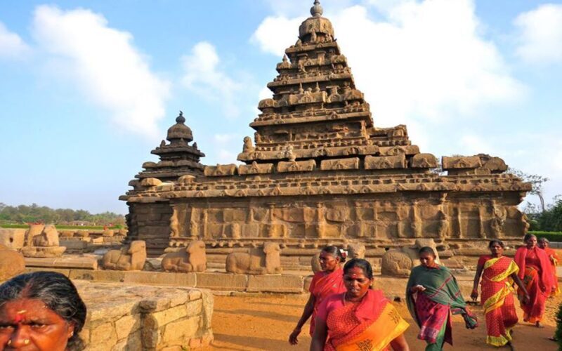 Mahabalipuram and Kanchipuram Private Caves & Temples Tour - Who Will Love This Tour?