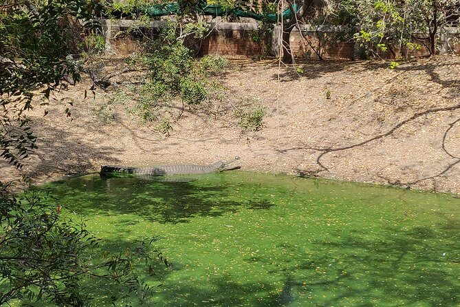 Mahabalipuram and Madras Crocodile bank trip from Chennai wtih Lunch,Transport - Who’s This Tour Best For?