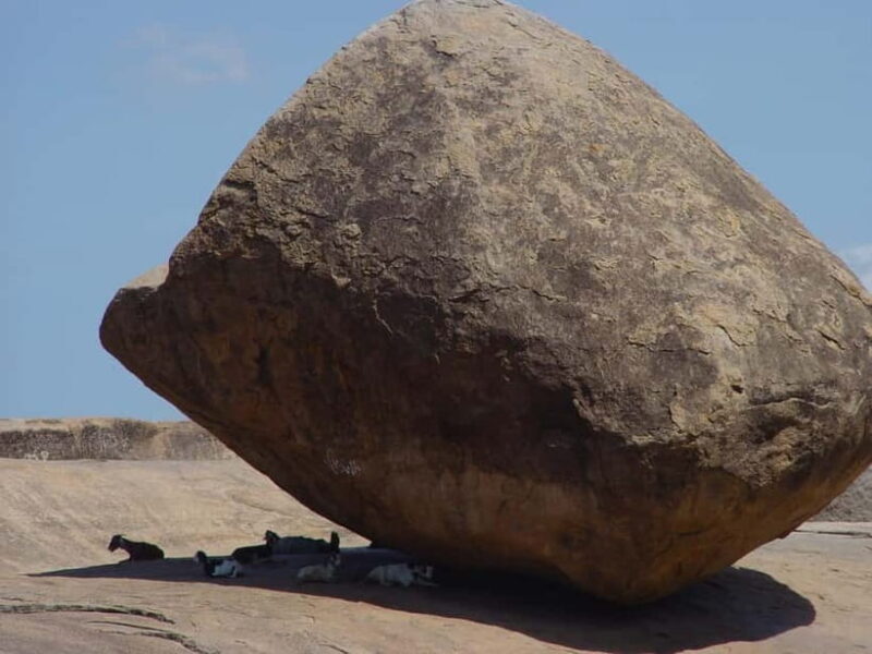 Mahabalipuram walking tour with local guide and lunch - Lunch and Cultural Flavors