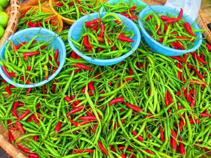 Mahachai & Maeklong Railway Market Day Tour From Bangkok - Introduction