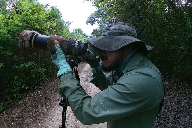 Mahahual and Costa Maya Birdwatching - An Honest Breakdown of the Experience
