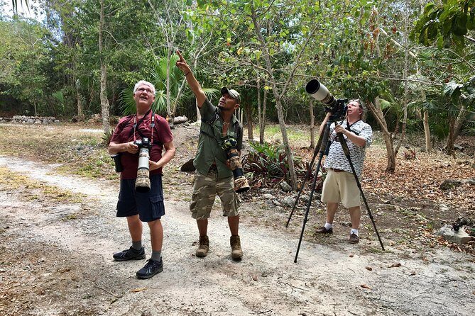 Mahahual and Costa Maya Birdwatching - The Ideal Traveller for This Tour