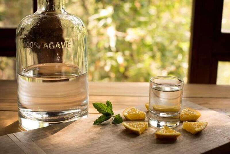 Mahahual: Authentic Mezcal & Tequila Tasting Experience - An In-Depth Look at the Mahahual Tasting Tour