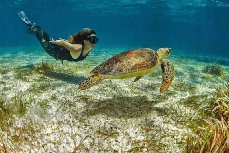 Mahahual: Costa Maya Snorkeling Adventure by Boat - Key Points