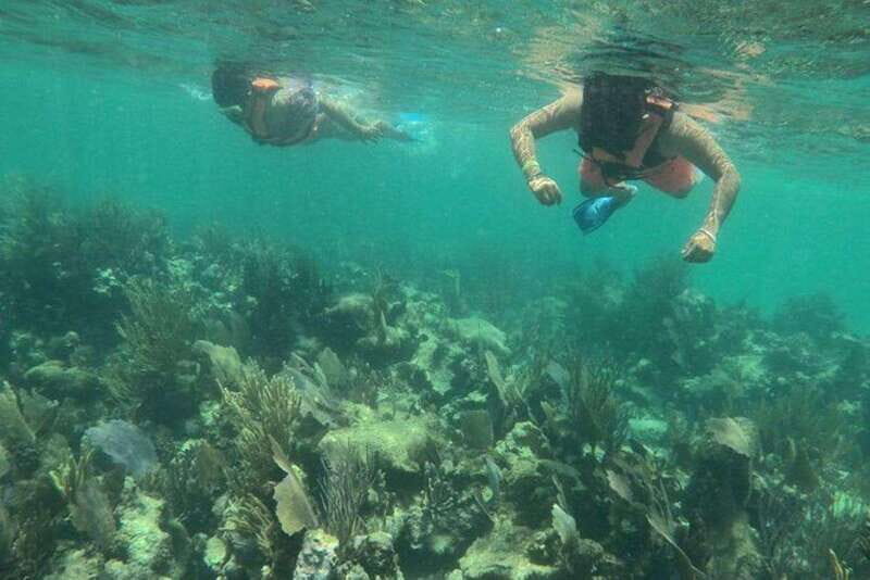 Mahahual: Costa Maya Snorkeling Adventure by Boat - A Close Look at the Experience