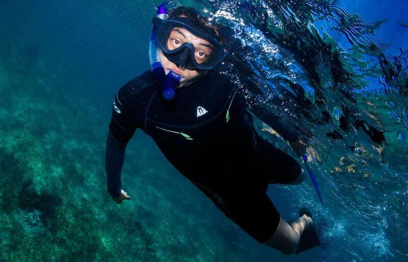 Mahahual: Snorkel Tour in Reef Lagoon - Practical Details: Transport, Timing, and Booking