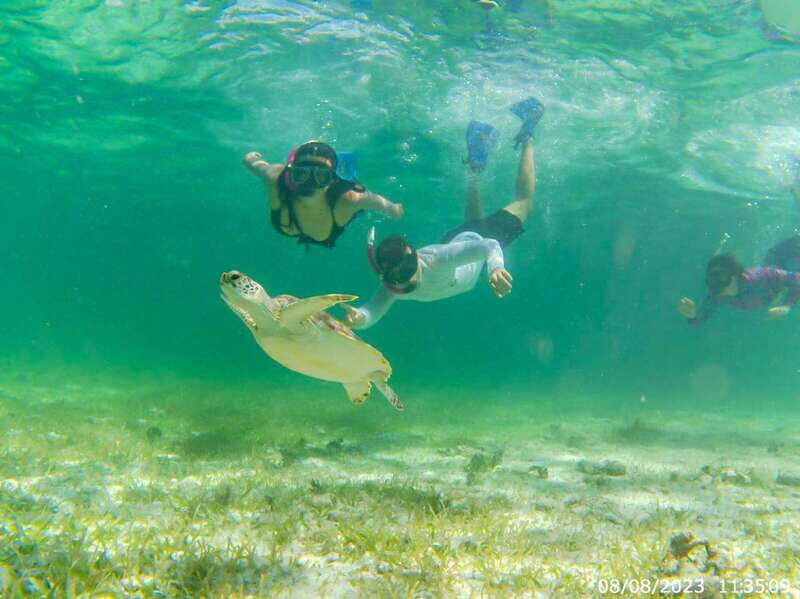 Mahahual: Snorkeling Boat Tour - Who Will Love This Tour?