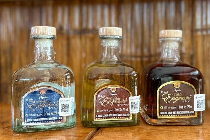 Mahahual Tequila Tasting Experience and Beach Club - An In-Depth Look at the Mahahual Tequila Tasting Experience