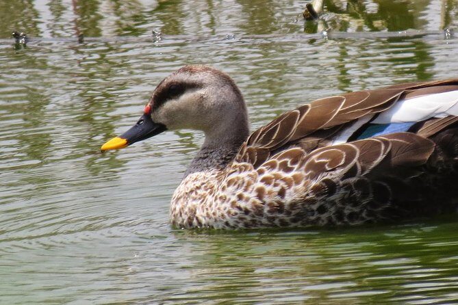 Mahatma Gandhi Heritage & his trails in Delhi - Practical Details & Tips