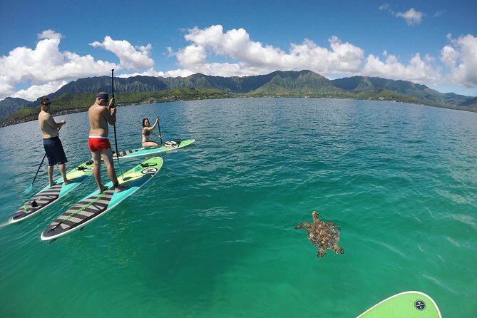 Mahina Hawaii Full Day Adventure - The Sum Up