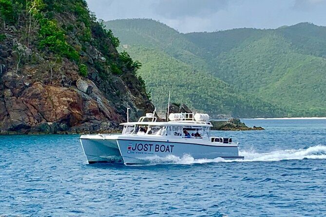 Maho Bay Turtle Snorkel with Lunch and Bar at Frenchman's Reef - Who Will Love This Tour?