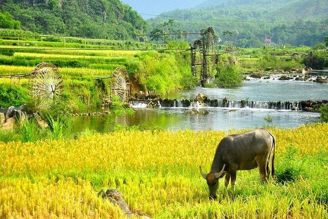 Mai Chau 1 Day Tour From Hanoi - FAQs