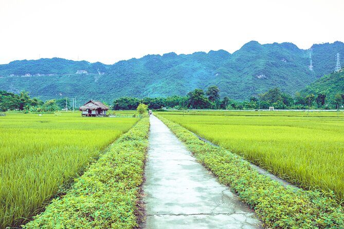 Mai Chau 1 Day Trip from Hanoi with Biking - Key Points