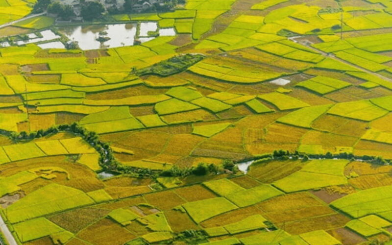 Mai Chau: 2-Day Tour with Local Ethnic Delicacies - An In-Depth Look at the Mai Chau 2-Day Tour