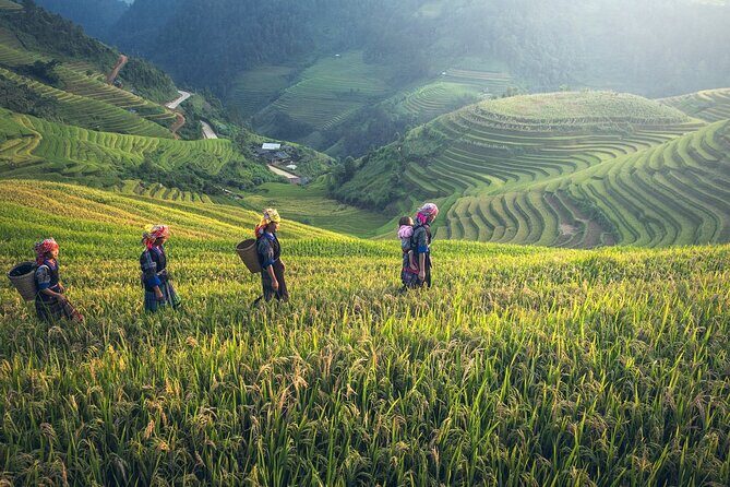 Mai Chau Adventure 2 Day Group Tour - The Highlights That Make This Tour Special