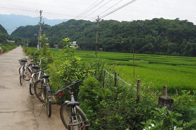 Mai Chau Deluxe Day Tour: Limousine, Small Group, Lunch & Biking - The Sum Up