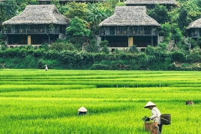 Mai Chau Full Day Shared Group Tour - The Experience: A Deep Dive