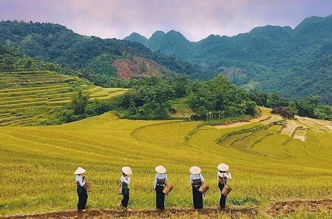 Mai Chau Hidden Treasures with Cycling Culture and Cave Wonders - FAQ