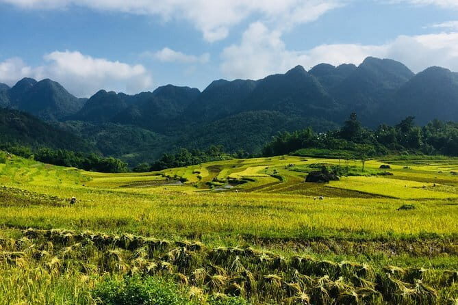 Mai Chau - Pu Luong 2 days 1 night - Biking & Trekking tour-Best price & quality - Final Thoughts