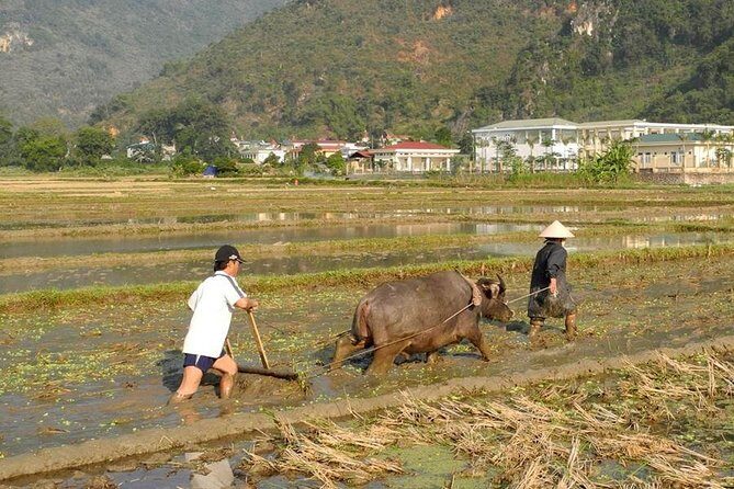 Mai Chau Pu Luong 2 Days 1 Night from Hanoi - Who Is This Tour Best For?