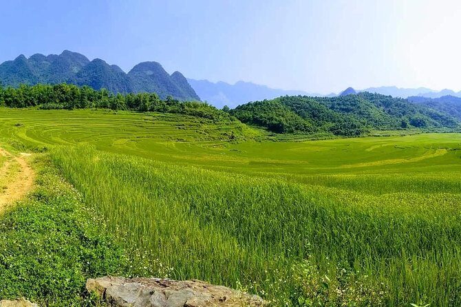 Mai Chau - Pu Luong 2 days - A Complete 2-Day Itinerary of Scenic, Cultural, and Culinary Delights
