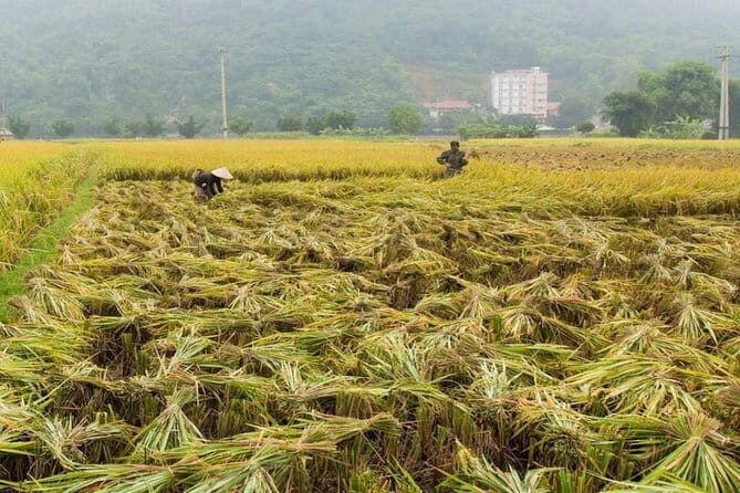 Mai Chau - Pu Luong 2 days group tour - What We Love About This Tour