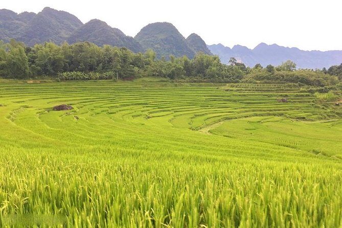Mai Chau Puluong 3Day Private Tour Terraced Rice fields, Trekking - What Travelers Say: Authentic Feedback and Expectations