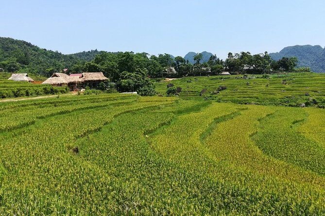Mai Chau Puluong 3Day Private Tour Terraced Rice fields, Trekking - The Sum Up: A Genuine Slice of Vietnam’s Countryside