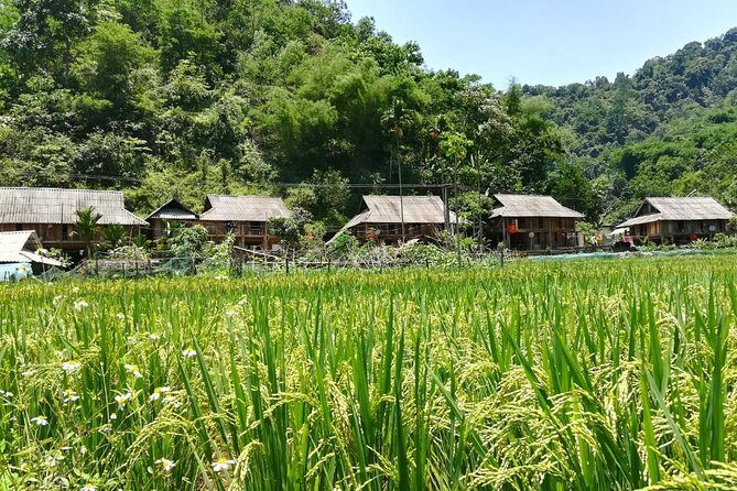 Mai Chau Puluong 3Day Private Tour Terraced Rice fields, Trekking - FAQs