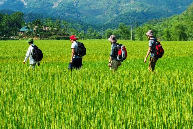 Mai Chau to Pu Luong 3-Day Tour from Hanoi - A Practical Guide to the Mai Chau to Pu Luong 3-Day Tour from Hanoi