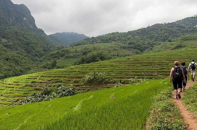 Mai Chau to Pu Luong 3-Day Tour from Hanoi - Who Is This Tour Best Suited For?