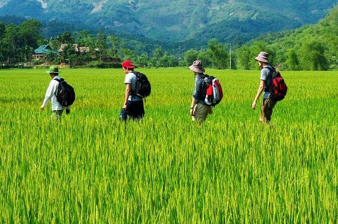 Mai Chau to Pu Luong 3-Day Tour from Hanoi - FAQ Section