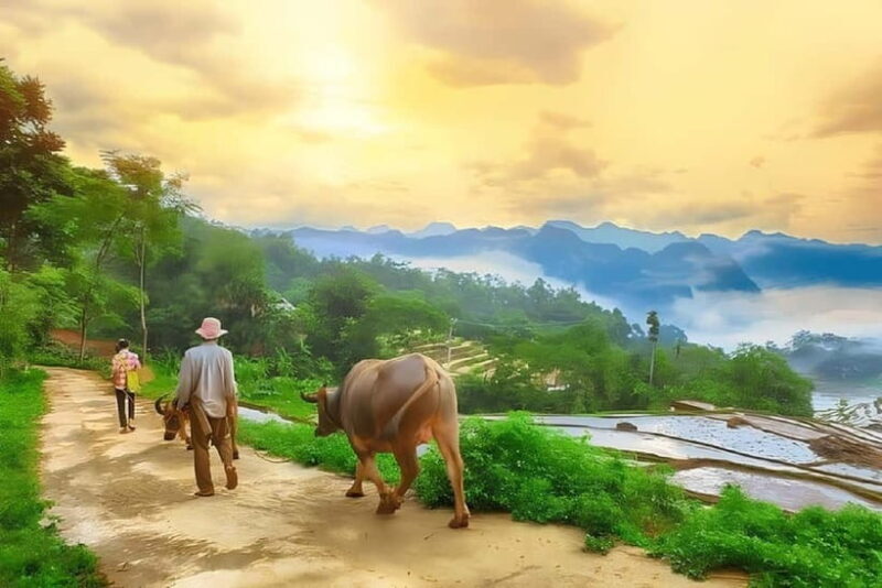 Mai Chau Valley 2-Day, 1-Night Adventure from Hanoi - Key Points