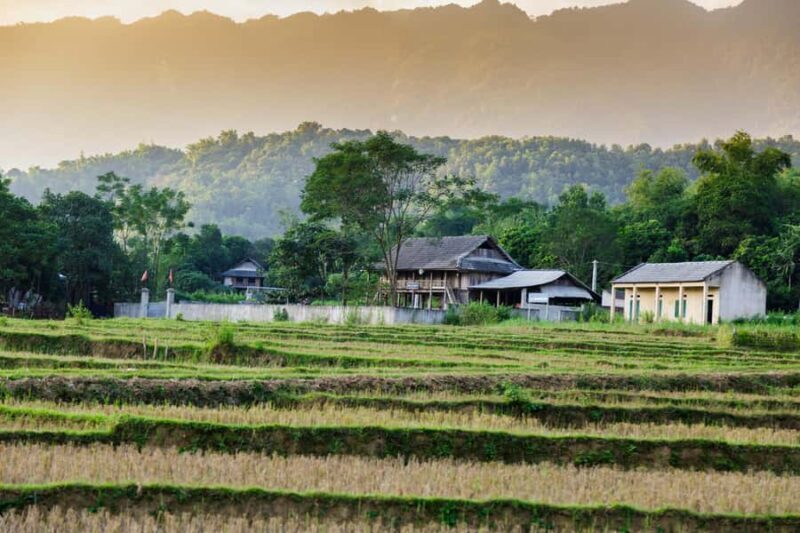 Mai Chau: Valley Walk Tour with Local Villages - Why This Tour Is a Great Choice