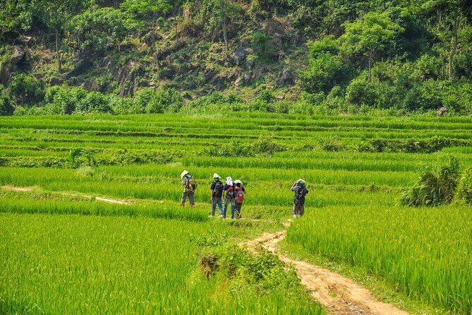 Mai Chau Walking & Cycling Day Tour - What Past Travelers Say