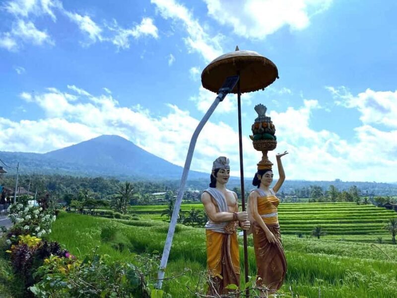 Mai Organic Farm Tour + Cooking Class - Who Should Consider This Tour?