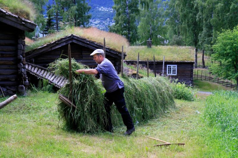 Maihaugen Museum/The Norwegian Olympic Museum, Lillehammer. - What to Expect at Maihaugen
