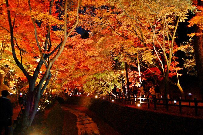 Maiko Dance and Autumn Leaves Illumination at Kitano Tenmangu TW - Key Points