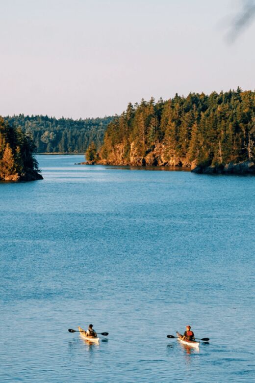 Maine: Full or Half-Day Single Kayak Rental - What to Expect When You Rent
