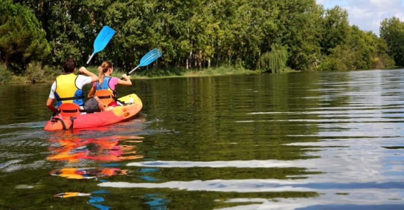 Maine: Half-Day Double Kayak Rental - The Practical Side: Price, Value, and Preparation